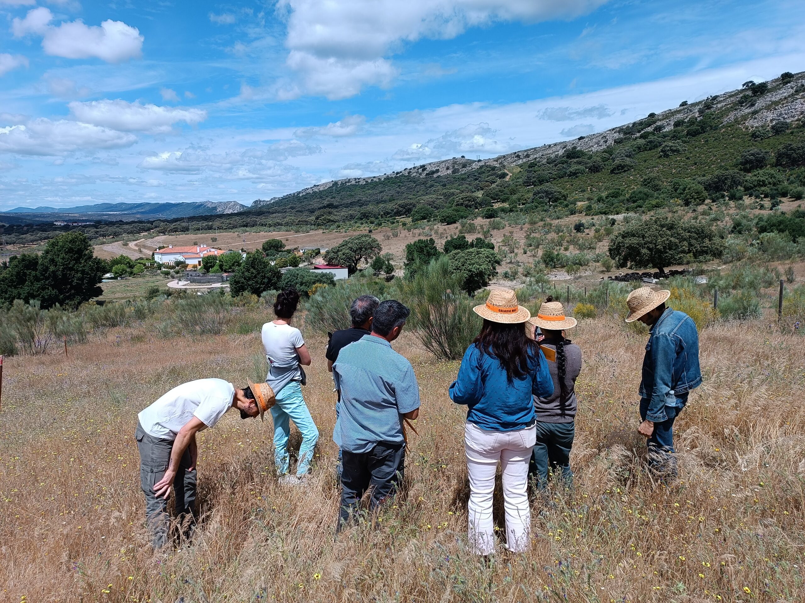 Crop Wild Relatives The Value Of Biodiversity For Food Security
