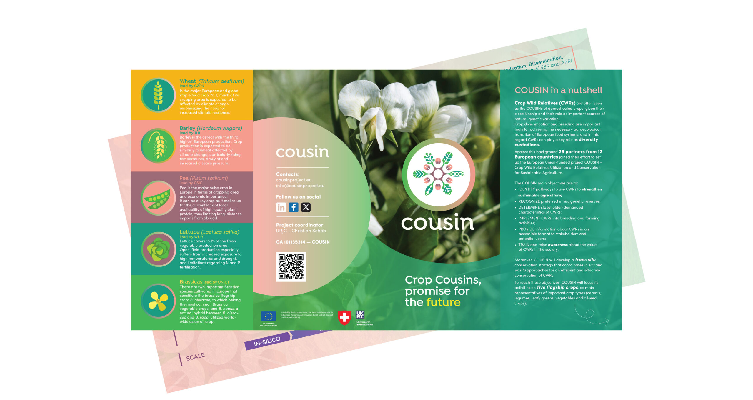 Brochure | Cousin Project